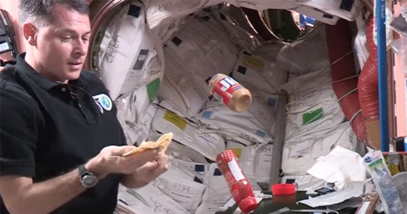 How To Make A Sandwich In Space