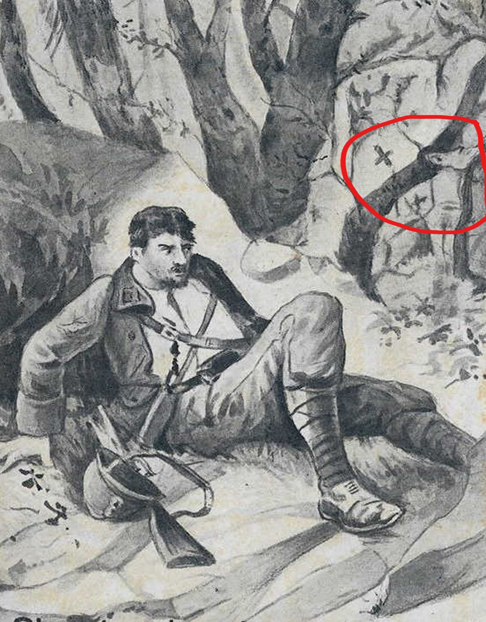 Optical Illusions: तेज नज़र है तो चट्टानों में छिपे जंगली कुत्ते को 7 ...