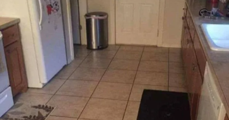Optical Illusion Find The Dog Hiding In The Kitchen