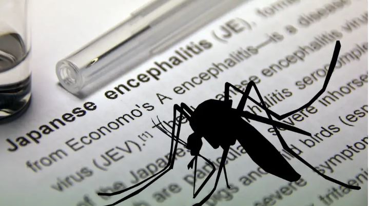 Assam On High Alert As Japanese Encephalitis Cases Surge In State: Know ...