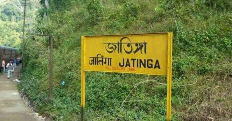 Jatinga: The Mysterious Village In Assam Where Birds Commit Suicide ...