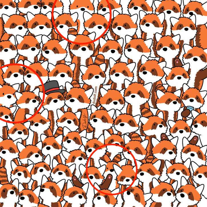 Optical Illusion: Find 3 Hidden Foxes Among Red Pandas In 9 Seconds