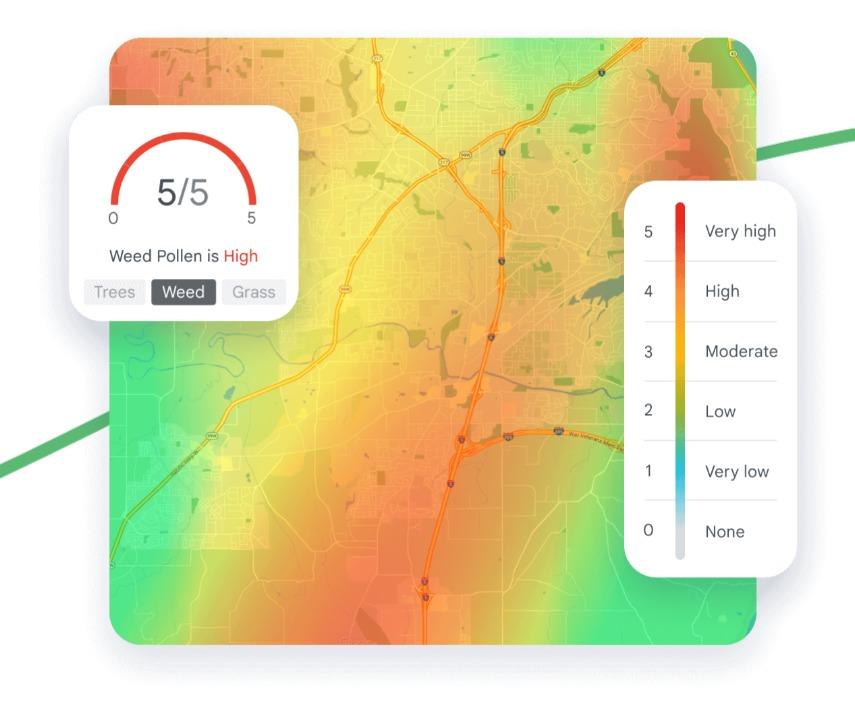 Google's New Pollen Mapping Tool Aims To Alleviate The Misery Of ...