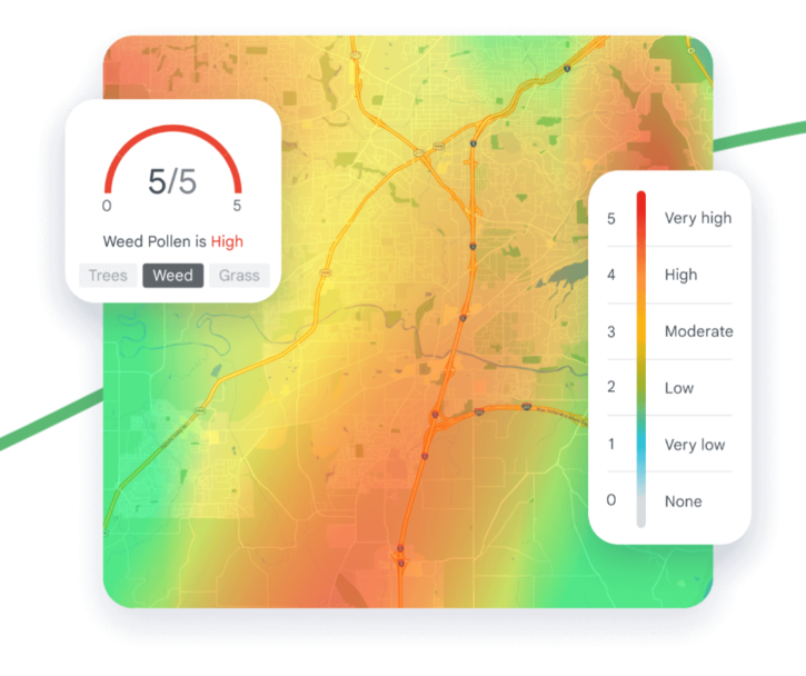 Google's New Pollen Mapping Tool Aims To Alleviate The Misery Of ...