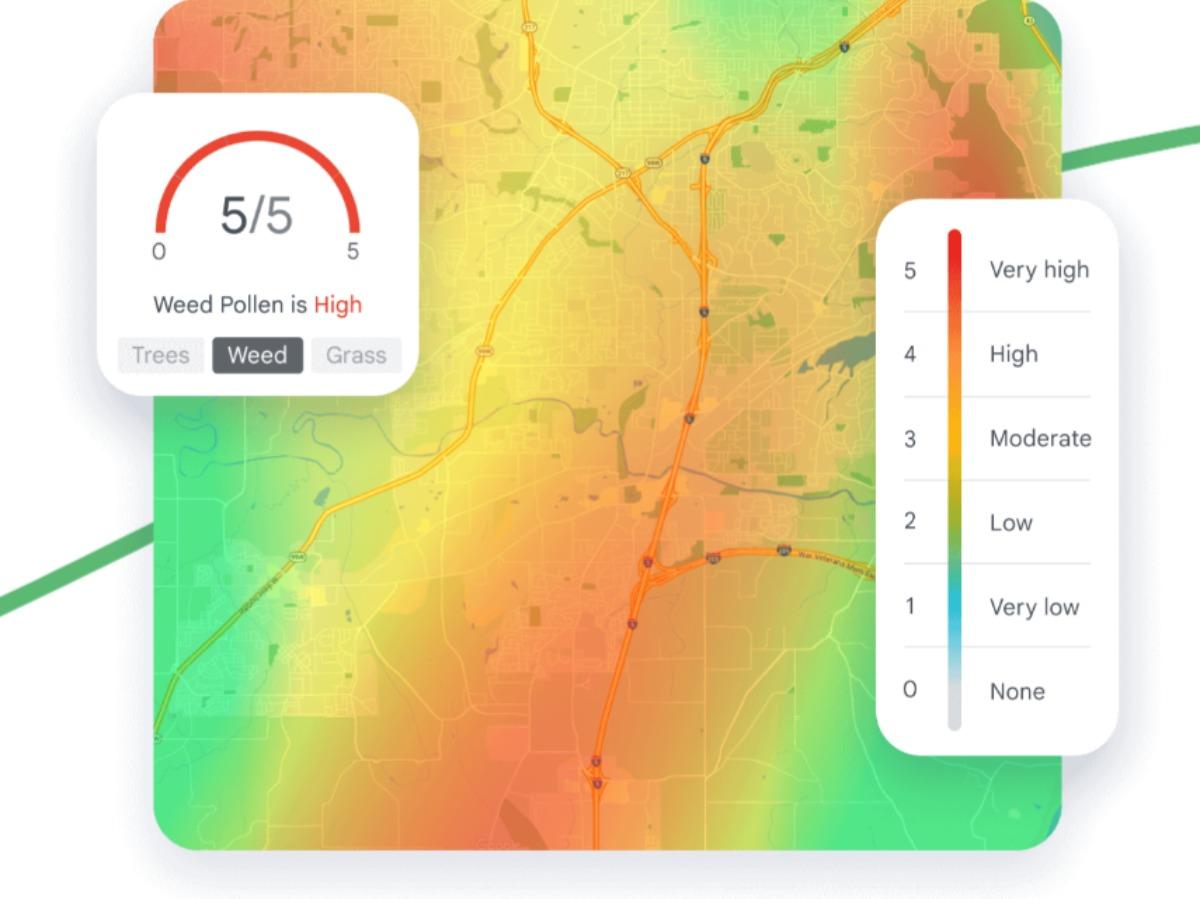 Google's New Pollen Mapping Tool Aims To Alleviate The Misery Of ...