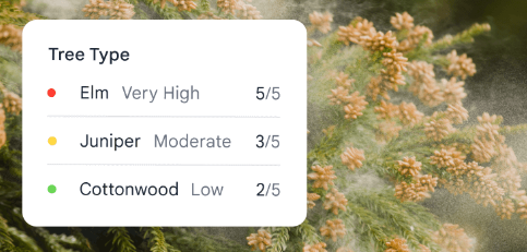 Google's New Pollen Mapping Tool Aims To Alleviate The Misery Of ...