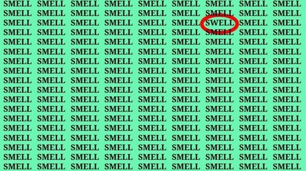 Finding 'Swell' In A Sea Of 'Smells' In 12 Seconds
