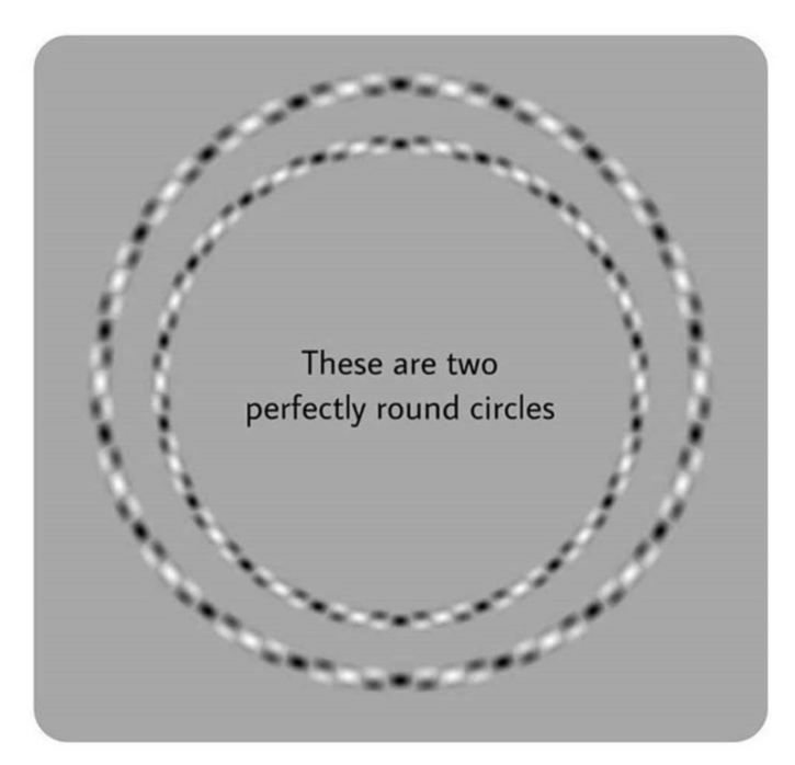 Count The Circles In This Optical Illusion