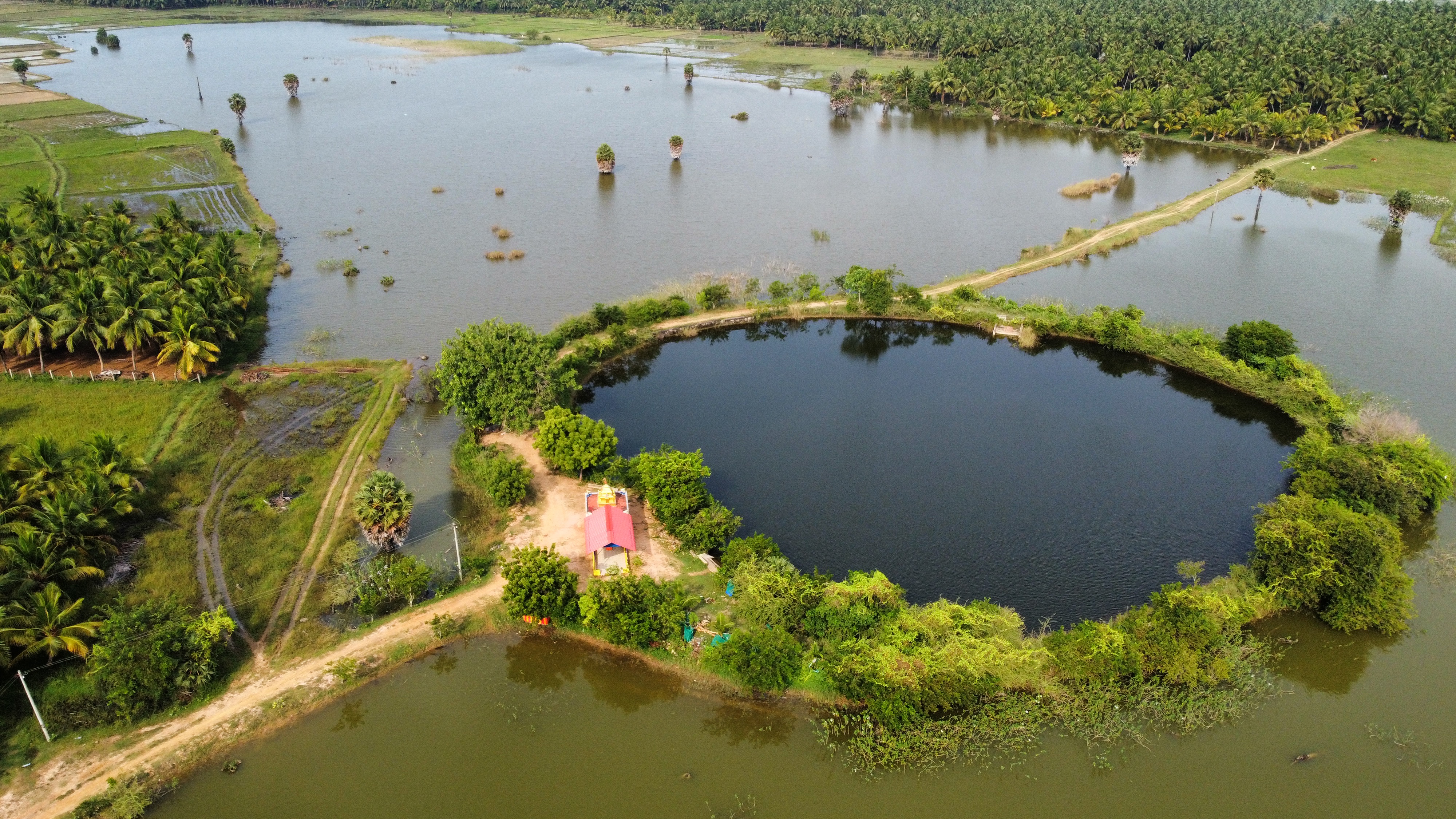 Started By Providing Relief To 2018 Cyclone Gaja Victims, This Man Has ...