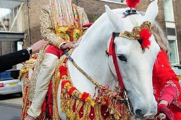 क्या आप जानते हैं दूल्हा घोड़ी ही क्यों चढ़ता है, घोड़े पर क्यों नहीं ...