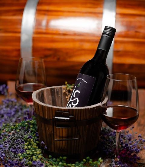 Locally-Made Wine From State-Grown Grapes In Mizoram's Hnahlan Hills Is ...