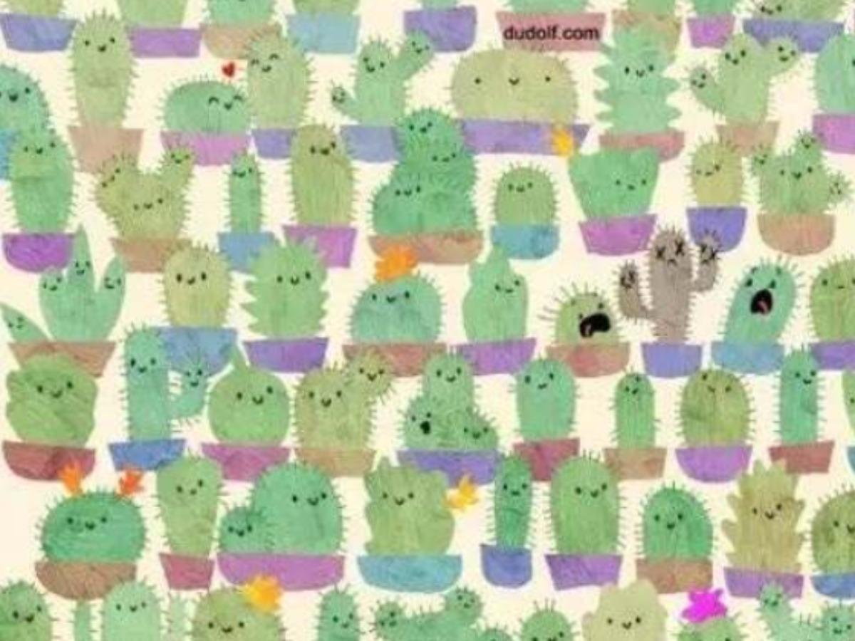 Spot The Hidden Apple In Only 11 Seconds