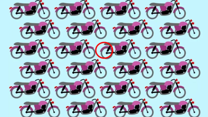 Optical Illusion: Spot This Bike