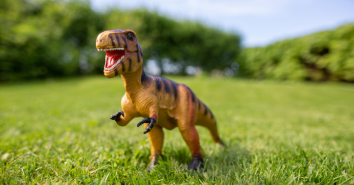 Find Out Whether Humans Existed During The Dinosaur Era