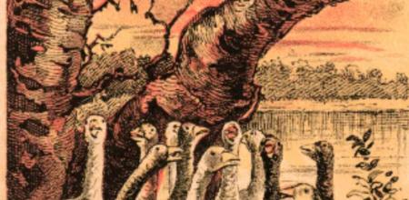 Optical Illusion: If You Can Find The Cunning Fox Waiting, You Have A ...