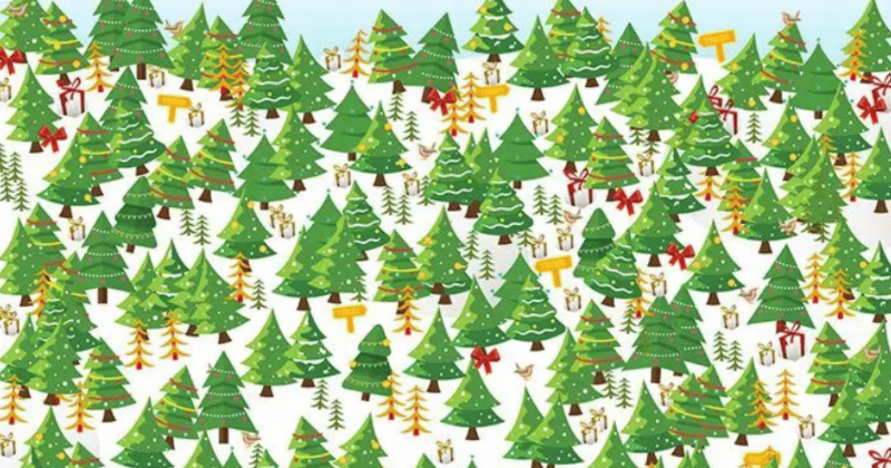 Optical Illusion: Can You Spot Star Hidden On Top Of A Christmas Tree ...