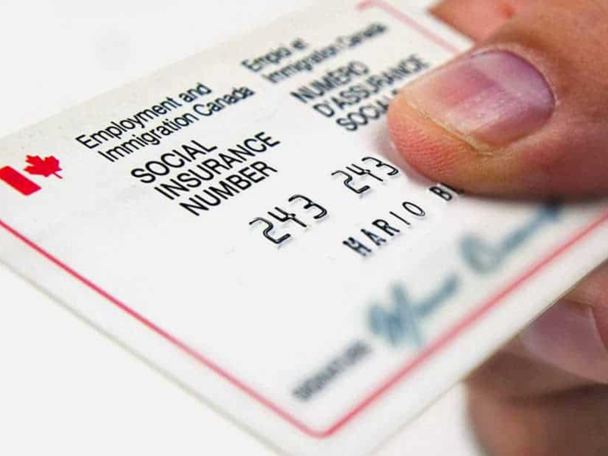 Everything About Social Insurance Number In Canada: Who Needs To Apply ...