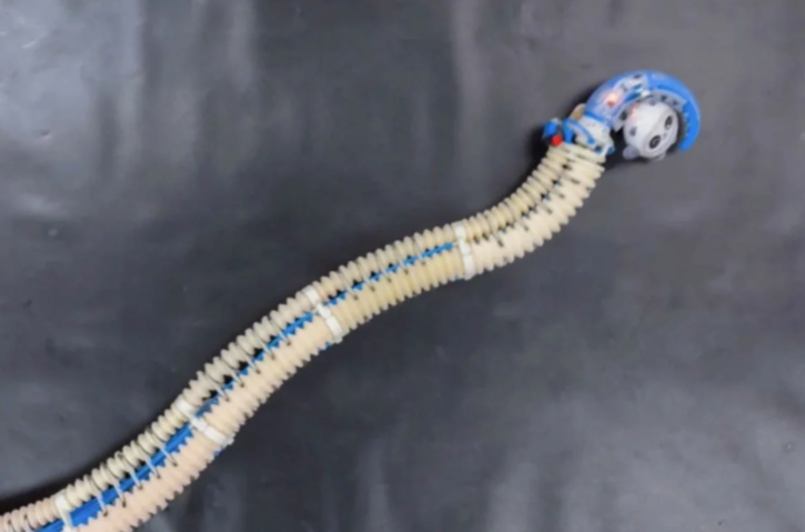 Soft Robotic Arm Inspired By Octopus Movement Holds Promise For Medical ...