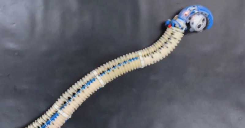 Soft Robotic Arm Inspired By Octopus Movement Holds Promise For Medical ...