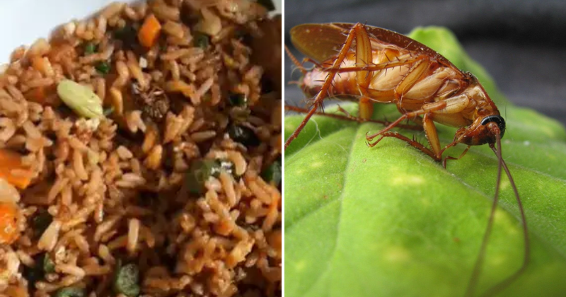 Woman Discovers Cockroach In Her Meal