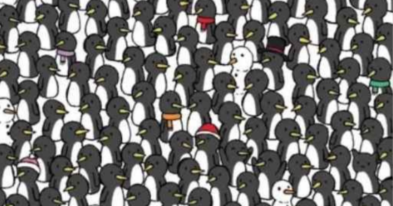 Optical Illusion: Find The Cats Hidden Among The Penguins In 10 Seconds