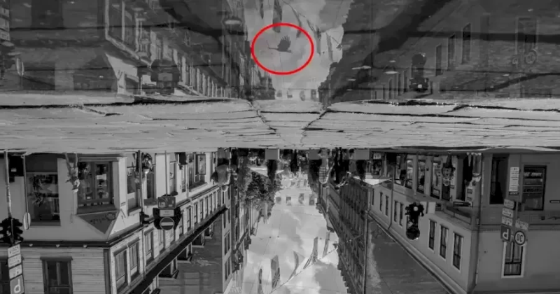 Optical Illusion IQ Test Spot The Crow