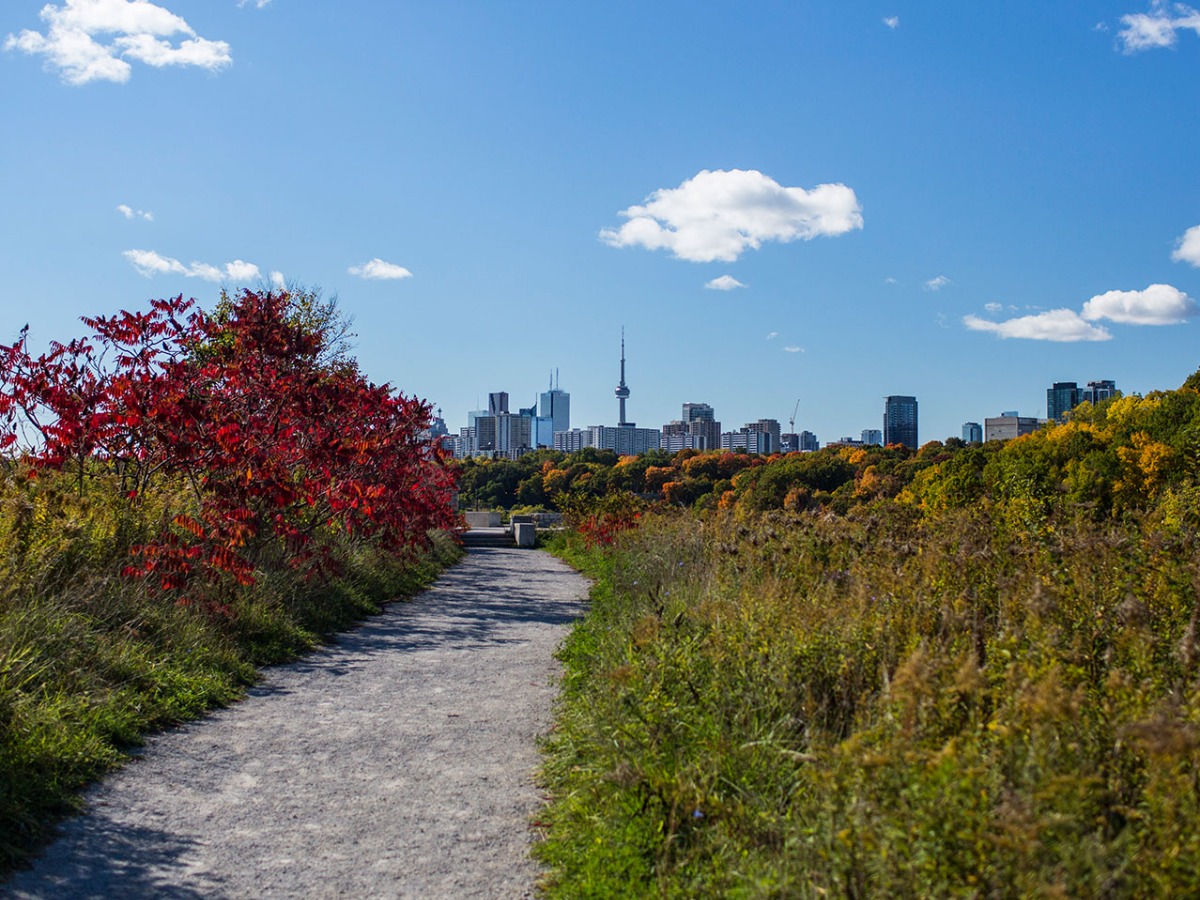 Demotivated? Take One Of These 5 Walking Trails In Toronto To Clear ...