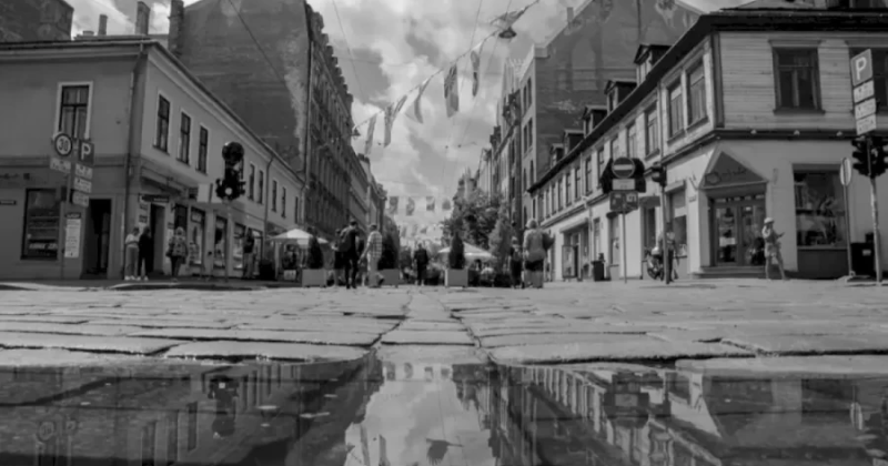 Optical Illusion IQ Test Spot The Crow