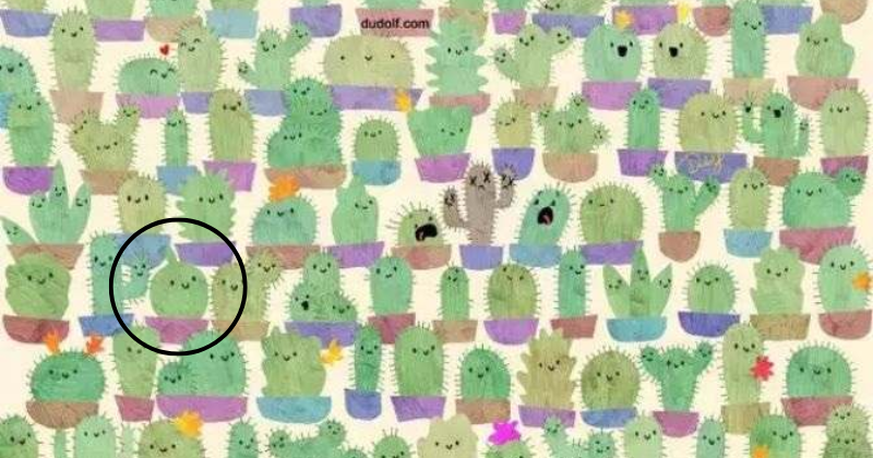 Spot The Hidden Apple In Only 11 Seconds