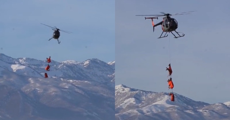 Ahead Of Christmas, Video Of 'Flying Deer' Goes Viral In Utah