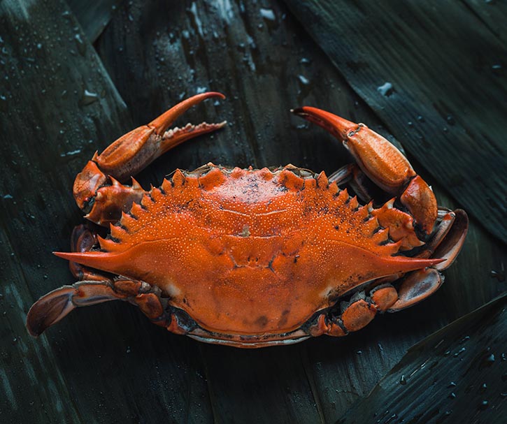 Explained: Blue Food That Supports The Livelihoods Of Nearly 800 ...