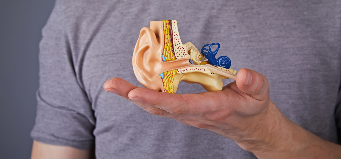 Explained: What Is Vestibular Hypofunction And How The Imbalance Makes ...