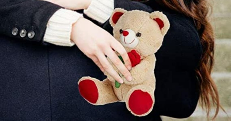 Teddy Day 2023: Know Which Teddy Bear Can Make Your Partner Happy