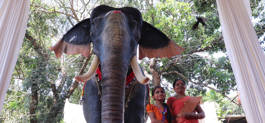 Meet The Artists Who Created The Robotic Elephant Irinjadappilly Raman ...