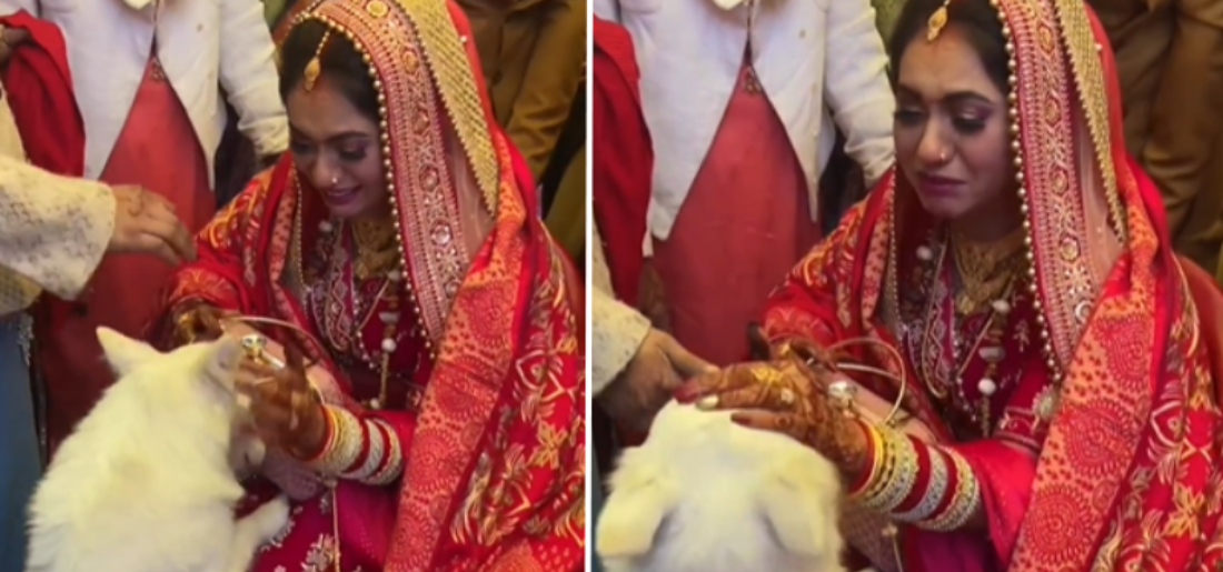 Adorable Doggo Sends Off Bride During Her Vidai Ceremony