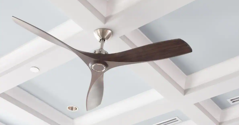 Explained In 100 Seconds: How Ceiling Fan Revolution Can Help You Save ...