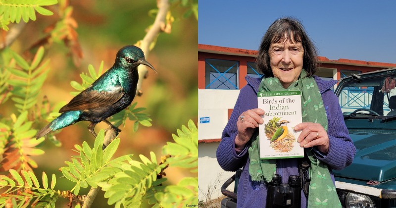 Jim Corbett Can Become India's Best Birding Destination, Says Legendary ...