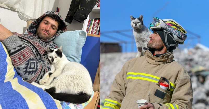 Man Rescues Cat From Turkey Earthquake