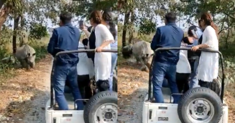 Terrifying Video Shows Jeep Carrying Tourists Topples As Rhino Chases ...