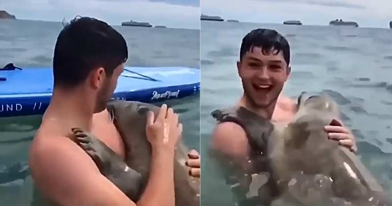 Man Gets An Unexpected Hug From A Seal