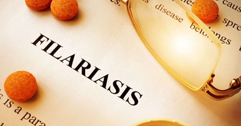 What Is Filariasis Disease And How Mass Drug Administration Campaign ...