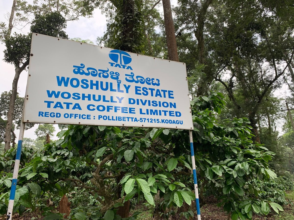 List Of Tata Group Companies That Originally Had Different Names