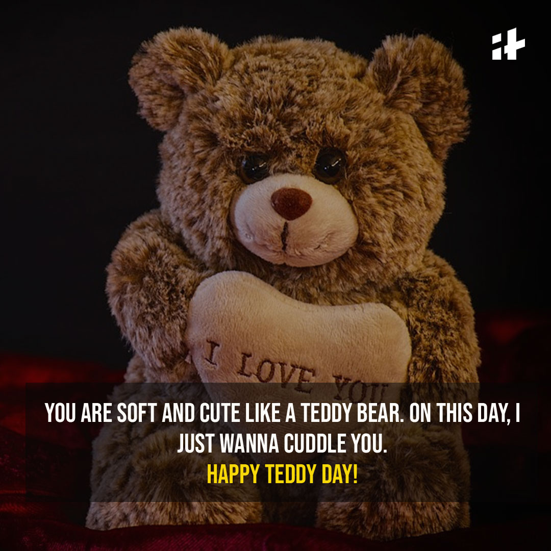 Cute Images Of Teddy Bears With Quotes