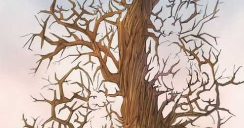 Can You Find All 4 Animals In This Optical Illusion Within 30 Seconds?