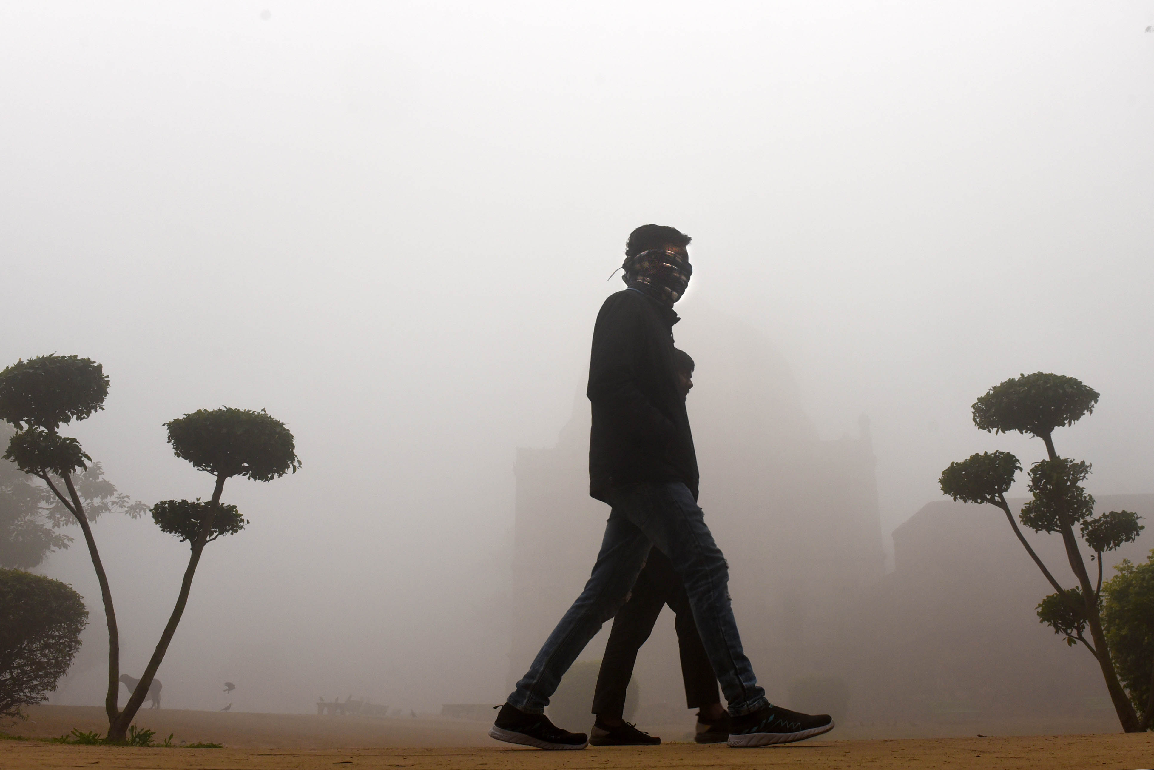 Delhi Saw Eight Cold Wave Days In January, The Highest In 15 Years, IMD ...