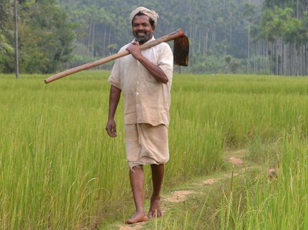 Kerala Tribal Man, A Guardian Of Over 50 Indigenous Paddy Seeds Wins ...