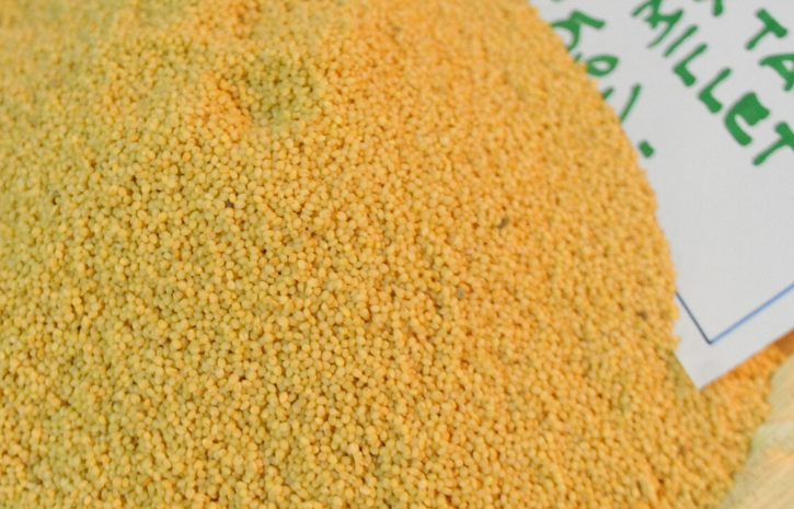 Explained: What Is The International Year Of Millets?