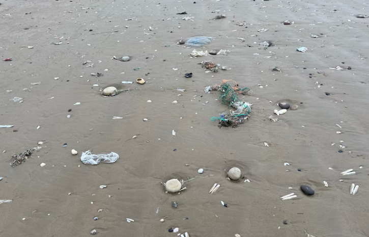 Explained: How This Technology Can Filter Microplastics From Water In ...