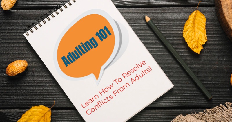 Adulting 101: Adults Tell Their Route To Resolving A Conflict