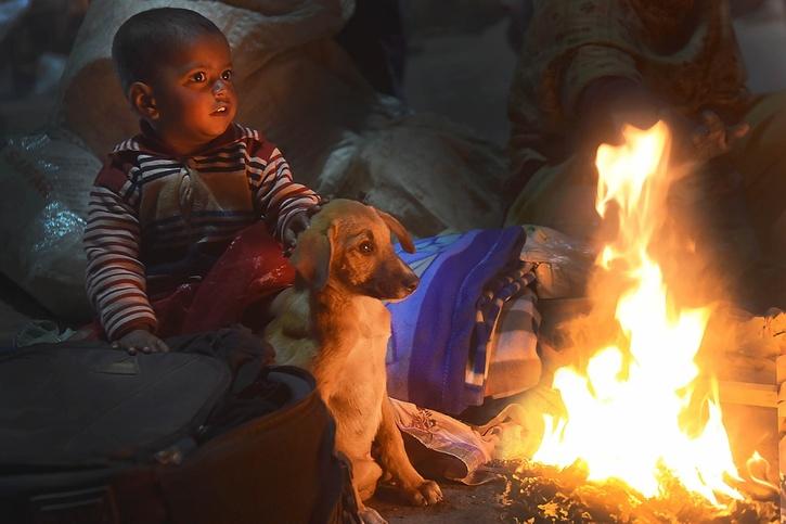 Delhi Saw Eight Cold Wave Days In January, The Highest In 15 Years, IMD ...